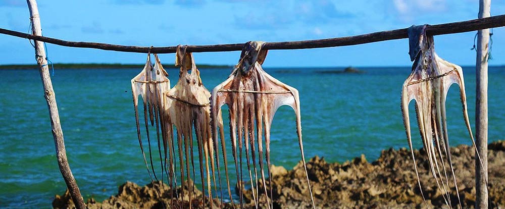Rodrigues Island Culture – A Unique Island Culture of Its Own ...