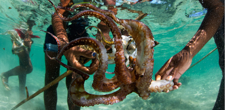 Rodrigues Island, The island of Rodrigues - Mauritius - Mauritius ...