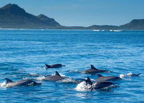 Yacht Charter in Mauritius - Mauritius Yacht Cruises - Mauritius ...