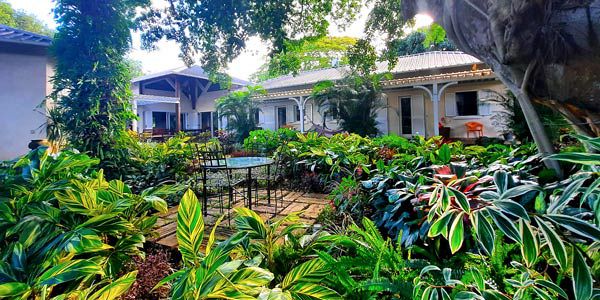 Tree Lodge - Mauritius | Exclusive Tree-Top Cabins Experiences ...