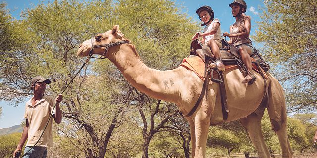 Camel Ride Activities at Casela Nature Parks - Mauritius Attractions