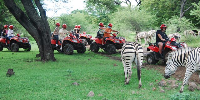 Camel Ride Activities at Casela Nature Parks - Mauritius Attractions