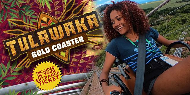 Camel Ride Activities at Casela Nature Parks - Mauritius Attractions