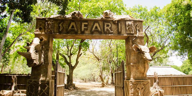 Ziplining at Casela Nature Parks - Mauritius Attractions