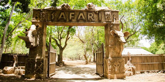 Animal Feeding Package at Casela Nature Parks - Mauritius Attractions