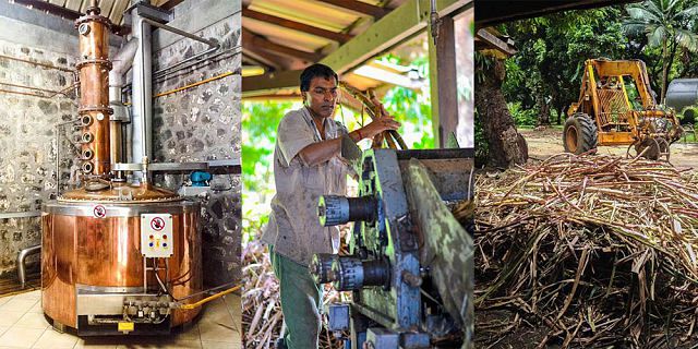 Mauritius Wine & Rum Tour - Mauritius Attractions