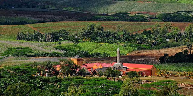 Mauritius Wine & Rum Tour - Mauritius Attractions