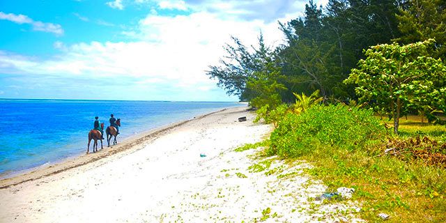 Ultimate Beach & Nature Horse Ride in Mauritius' Wild South - Mauritius ...