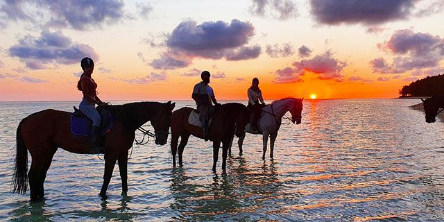 Ultimate Beach & Nature Horse Ride in Mauritius' Wild South - Mauritius ...