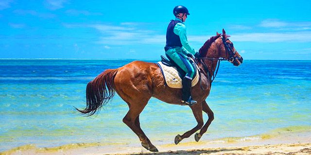 Secluded Horse Riding on the Riambel Beach - Mauritius Attractions