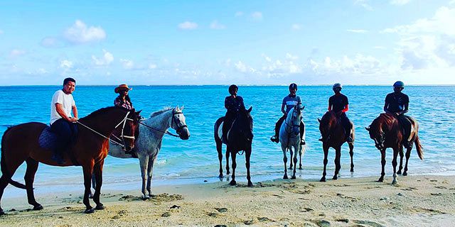 Romantic Sunset Beach Horse Riding Mauritius - South Coast - Mauritius ...
