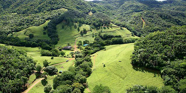 Guided Visit of Ferney Conservation Park - Mauritius Attractions