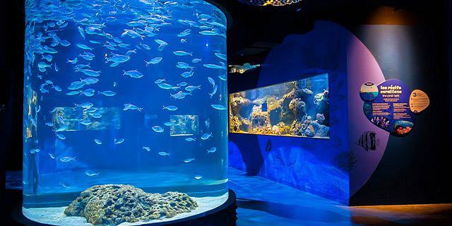 Odysseo - The Oceanarium of Mauritius - Mauritius Attractions