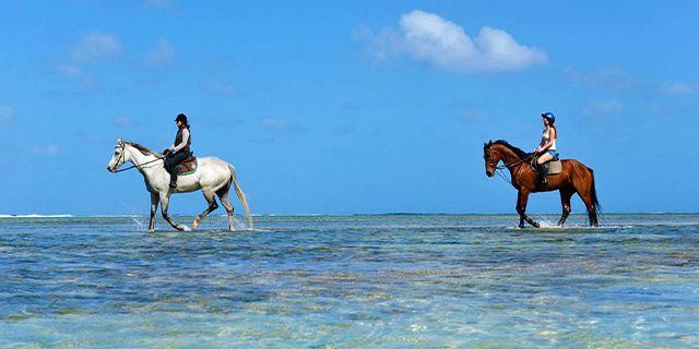 Romantic Horseback Riding & Swimming at Riambel Beach - Mauritius ...