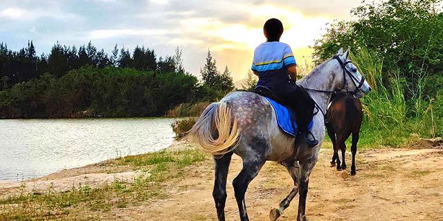 Romantic Horseback Riding & Swimming at Riambel Beach - Mauritius ...