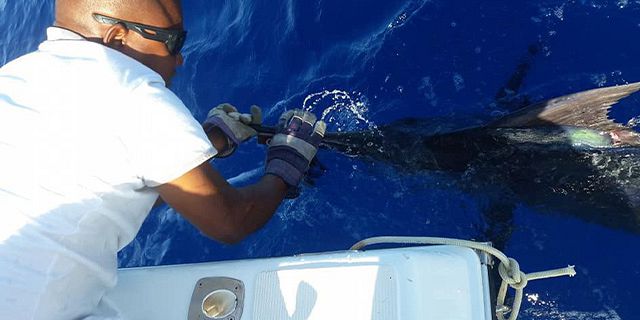 Fishing Excursion in the South West - Popping at the Reefs - Mauritius ...
