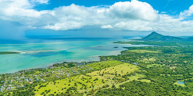 Ebony Forest Love Tree Tour - Plant Your Own Endemic Tree - Mauritius ...