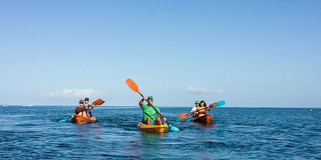 Kayaking with Dolphins - West Coast - Mauritius Attractions