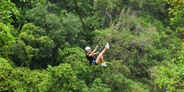 Ziplining & Nepalese Bridge - Lavilleon Adventure Park - Mauritius ...