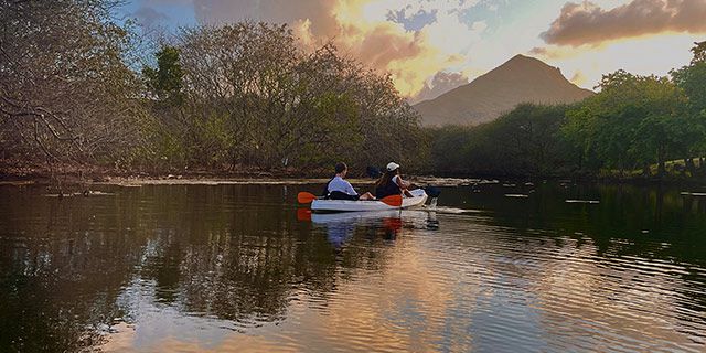 Sea Kayaking Sundowner Experience - West Coast (Guided Trip ...