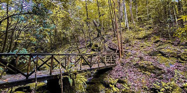 4x4 Safari Tours at La Vallée de Ferney - Nature Expedition - Mauritius ...