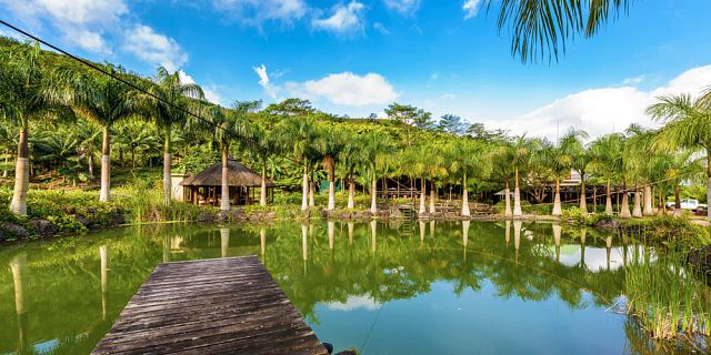 Zip Lines (Tyroliennes) Adventure - Mauritius Attractions