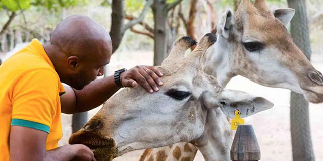 Breakfast with Giraffes at Casela Nature Parks - Mauritius Attractions