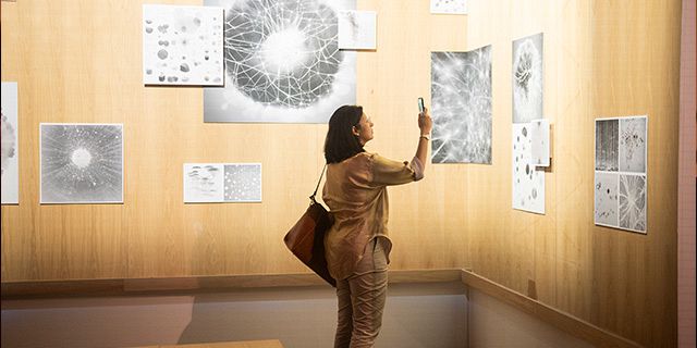 House of Digital Art - An Immersive Experience in Mauritius - Mauritius ...