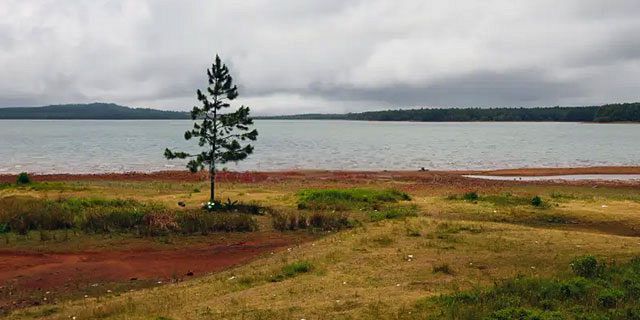 Mare aux Vacoas - Mauritius Attractions