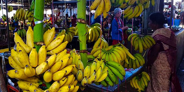Goodlands Market - Mauritius Attractions