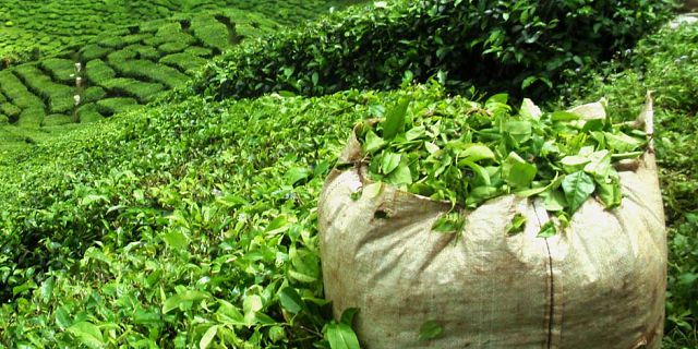 Mauritius South Tour - Mauritius Attractions