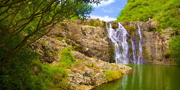Hiking Trip at Tamarind Falls - Half Day - Mauritius Attractions