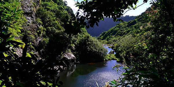 Hiking Trip at Tamarind Falls - Half Day - Mauritius Attractions