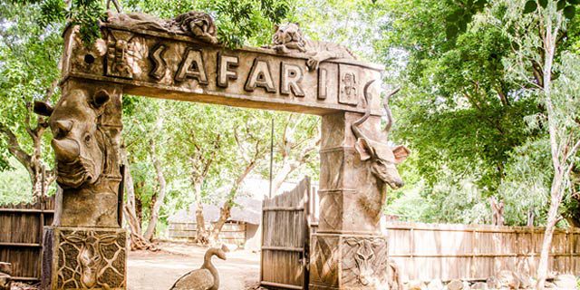 Big Cat Interaction at Casela Nature Parks - Mauritius Attractions