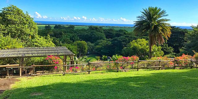 Visit to Casela Nature Parks - African Safari & Adventures - Mauritius ...