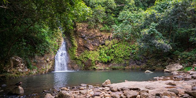 Quad Biking & Buggy at Vallé Advenature Park - Mauritius Attractions