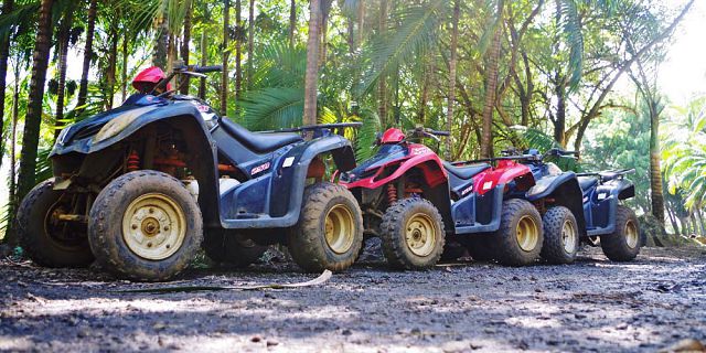 Exclusive Day Package - Swimming with Dolphins, Lunch & Quad ...