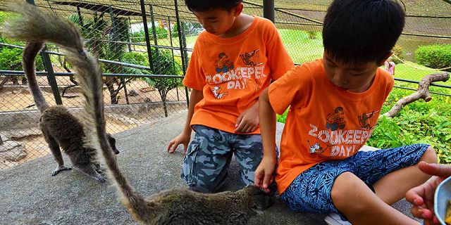 Zookeeper for a Day - Kids Package at Casela Nature Parks - Mauritius ...