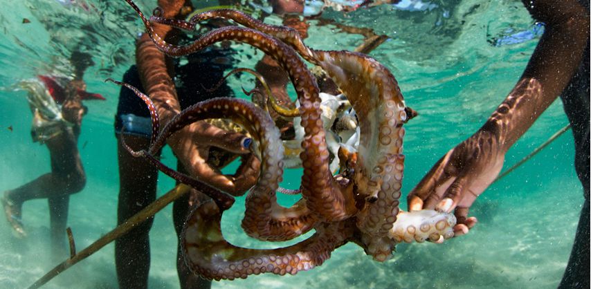 Rodrigues Island, The island of Rodrigues - Mauritius - Mauritius ...